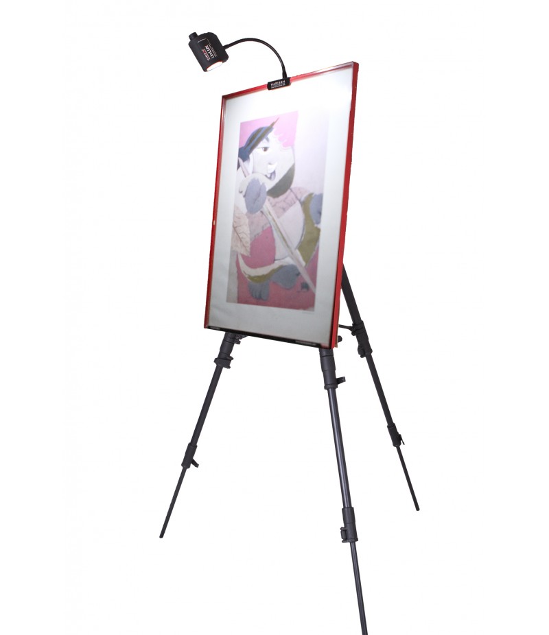 UniLux LED Lighting System – Harison Photo Products